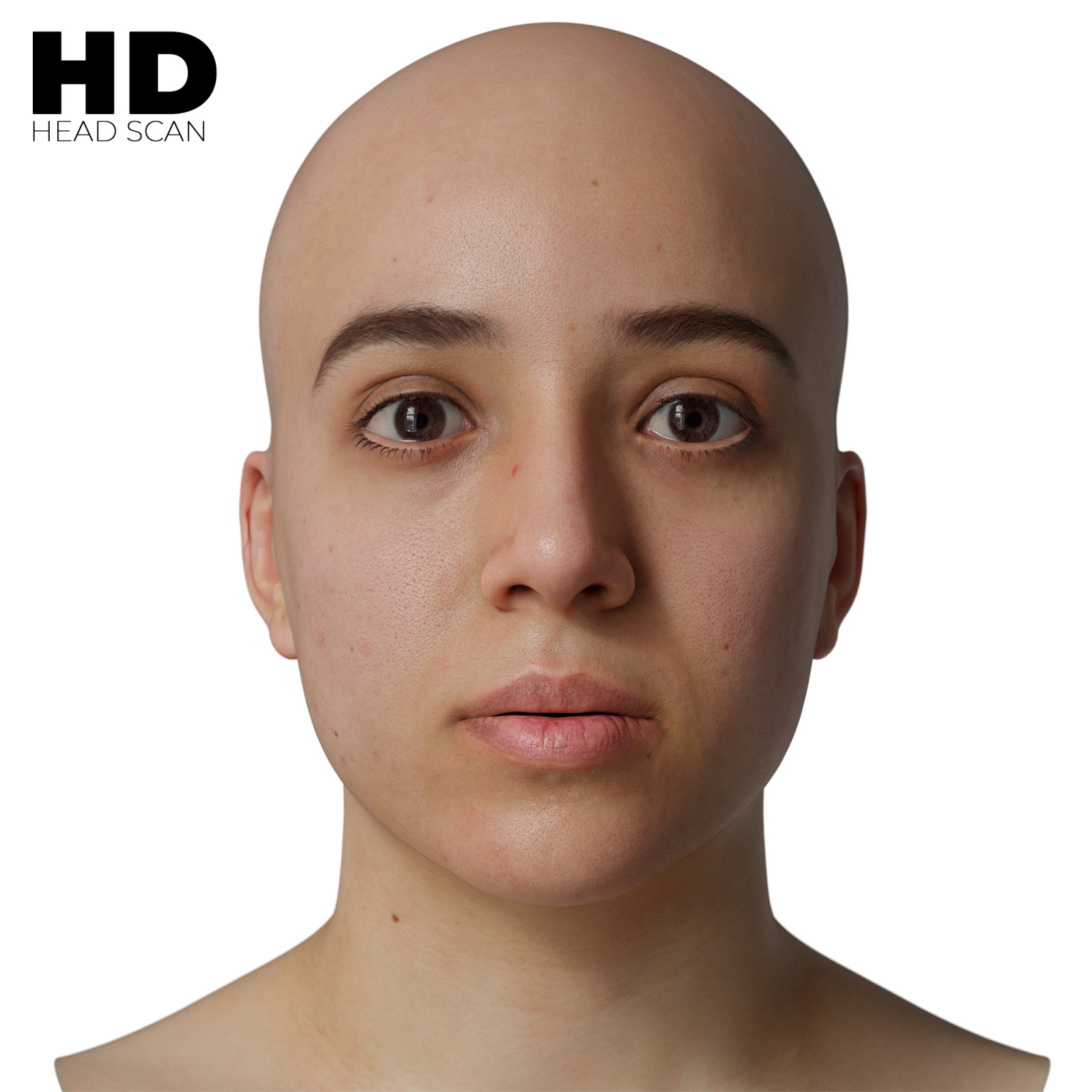 HD Female 3D Head Model 50 HD Female 3D Head Model 50